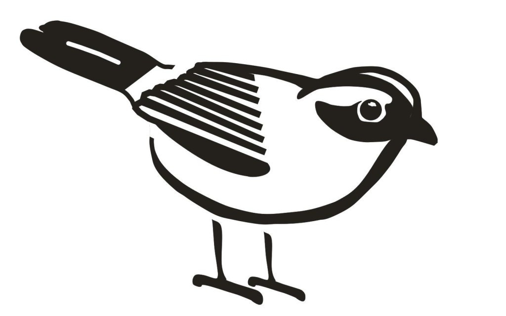 Gorrión Andivia Bird Reserve - Fundación ProAves - por la conservación ...