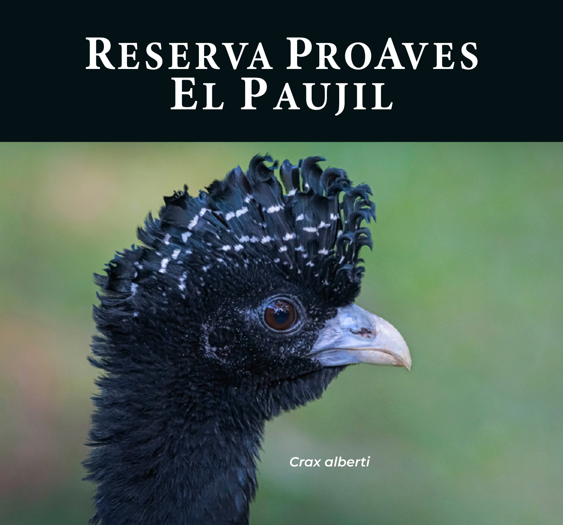 Reserva ProAves El Paujil